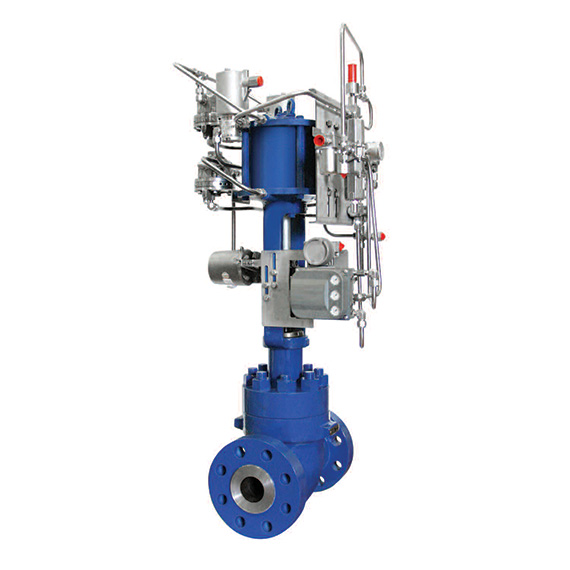 Cage Guided Control Valves